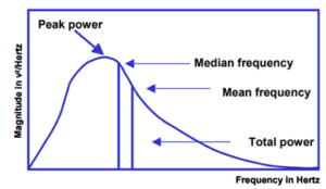 Electromyography – Basics of Practical Application - The Biomechanist